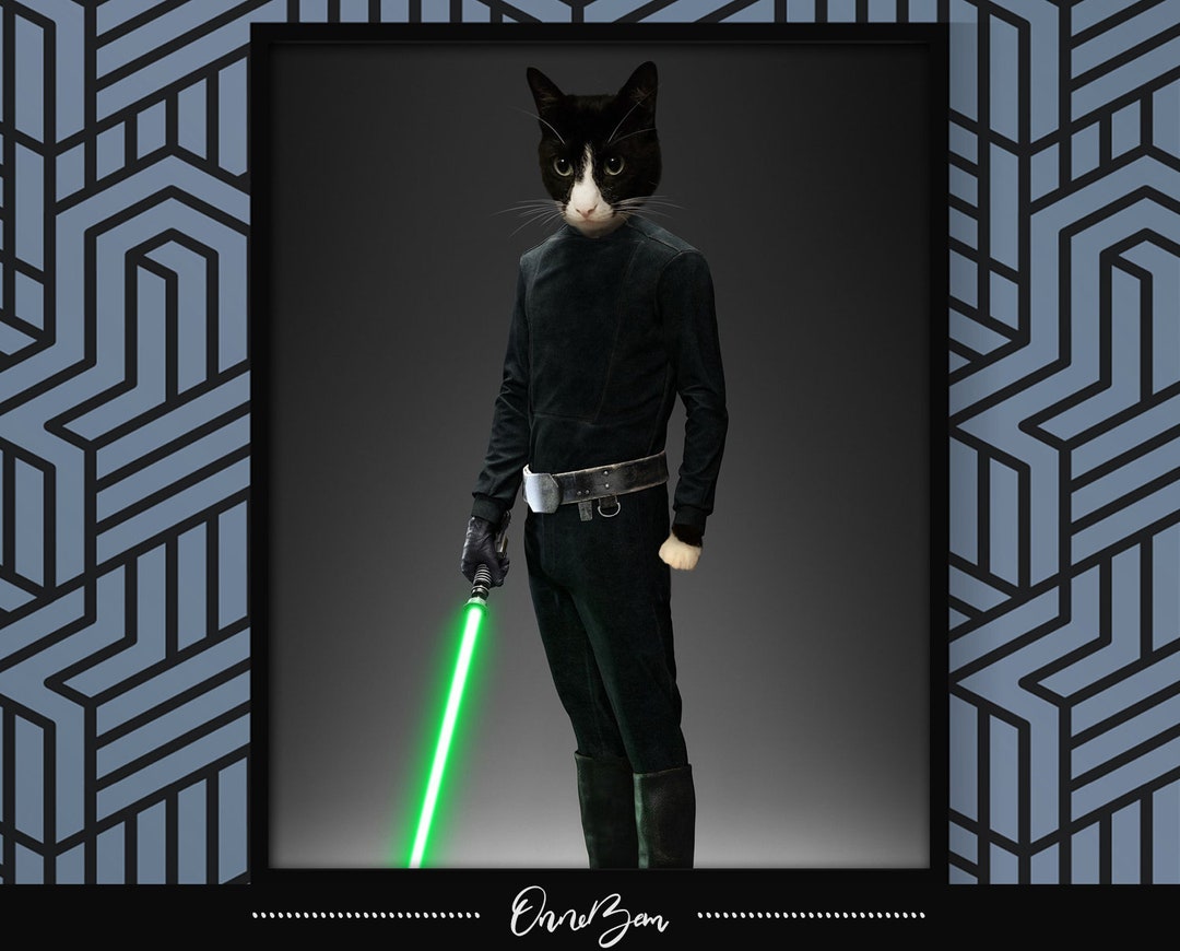 Custom Star Wars Pet Portarit . Custom Pet Portrait . Custom Cat ...