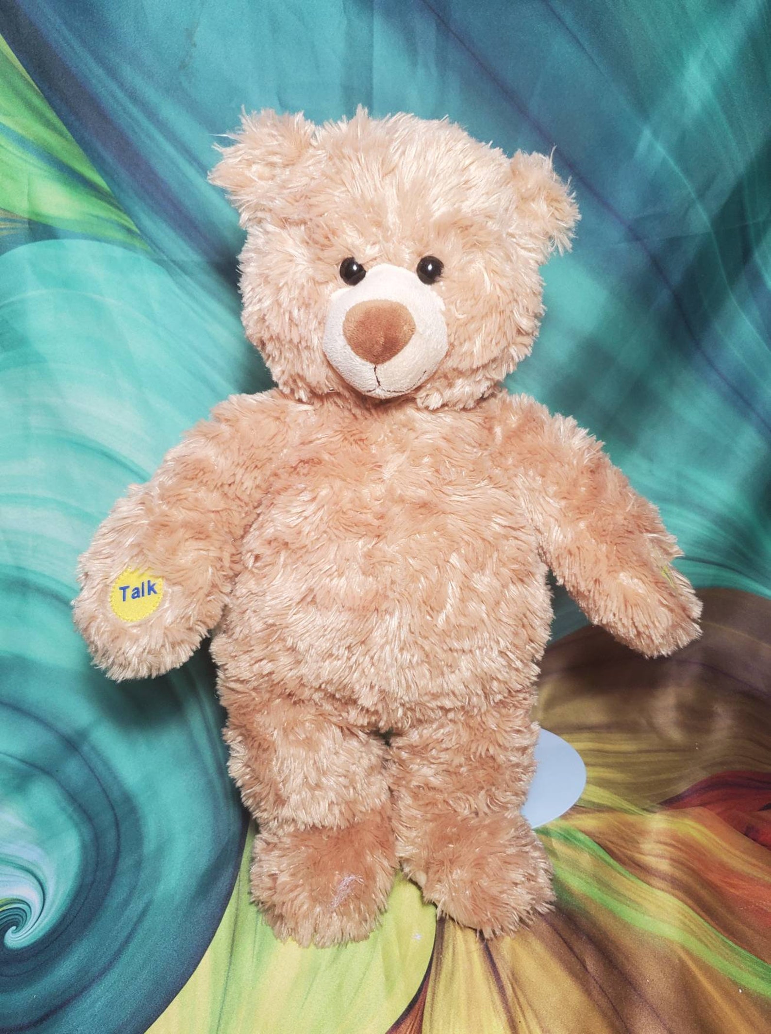 RARE Build-a-bear 2007 Teddy Talk & Play Recordable JC Penny Special ...