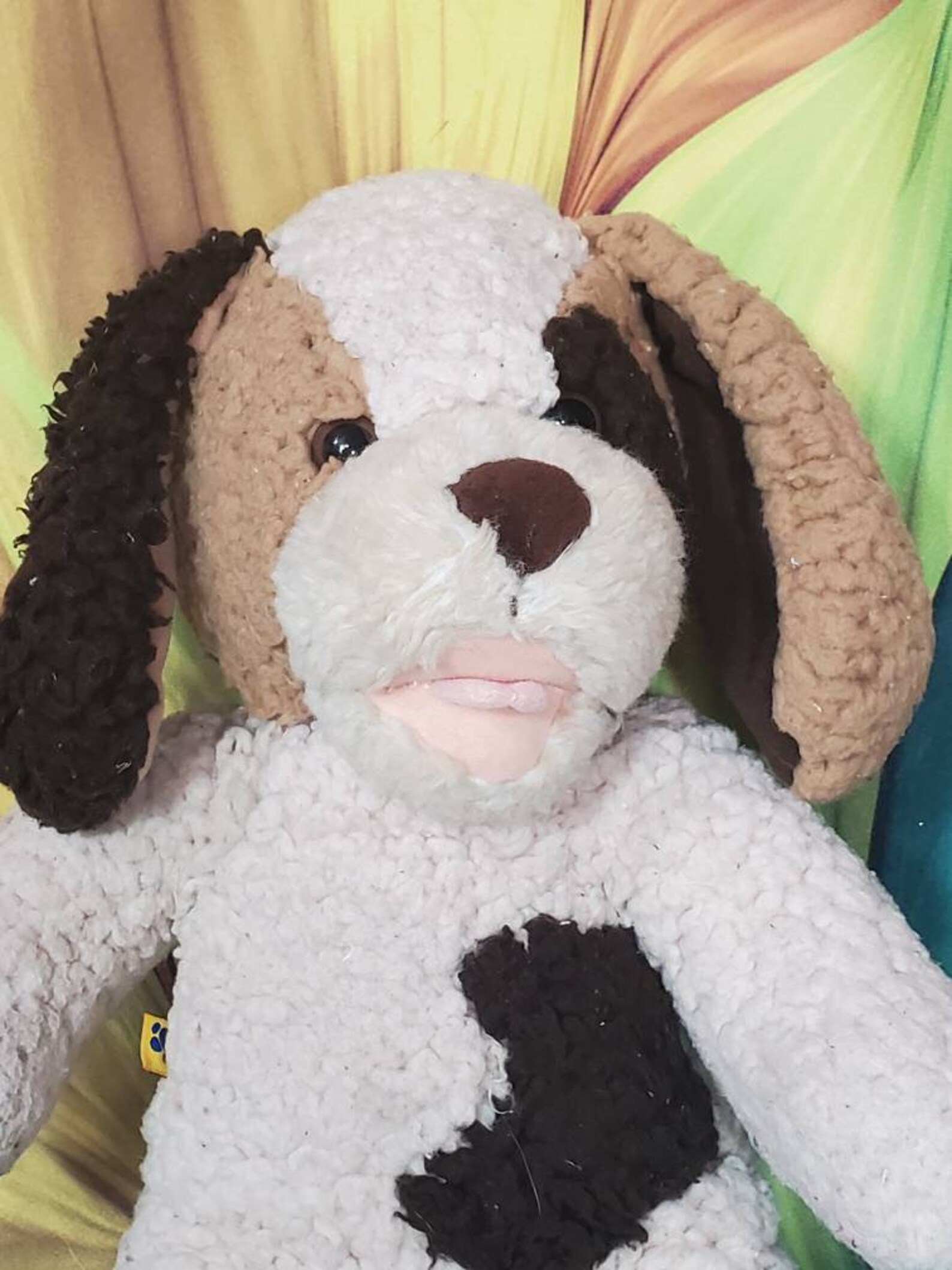 Build A Bear Dog Patches Paw Print Plush Puppy Stuffed BAB 16" - Etsy