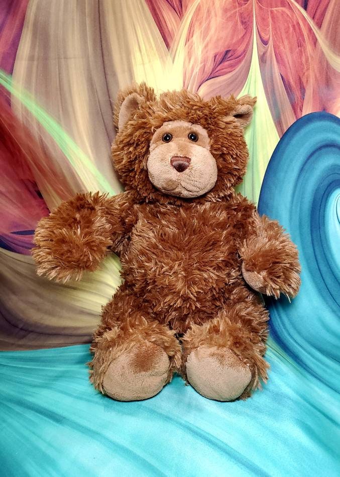 Build A Bear Vintage Scruffy Brown Long Haired Grizzly BABW - Etsy