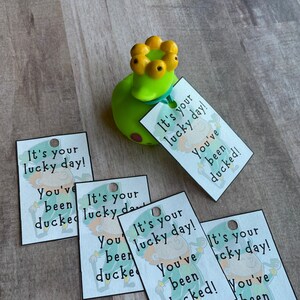 Printable St. Patrick's Day Duck Duck Tag for Rubber Ducks - Etsy