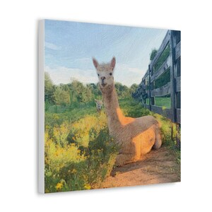 Jericho and Maverick Alpacas in the Sunset - Framed Art - Bedroom Decor for Kids - Whimsical ...