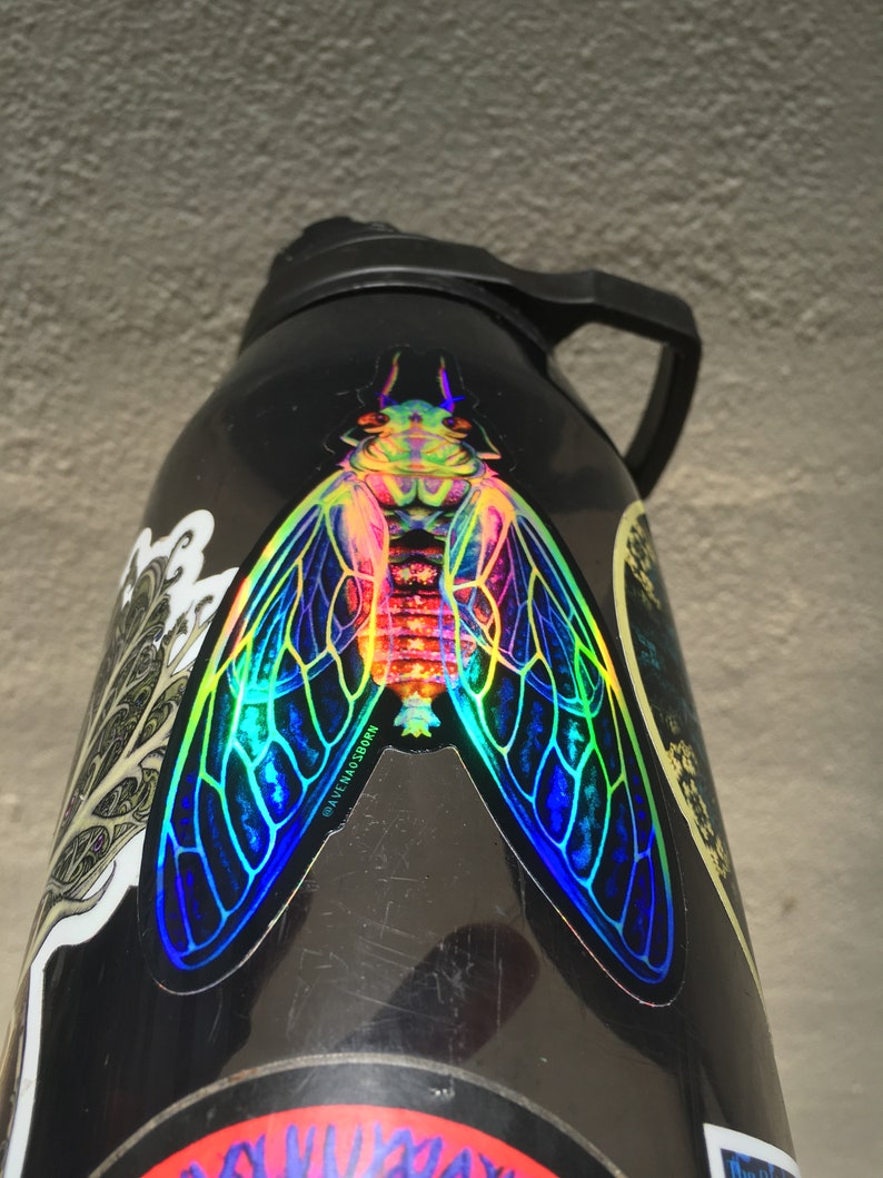 Holographic Cicada Vibrant Watercolour Psychedelic Trippy | Etsy