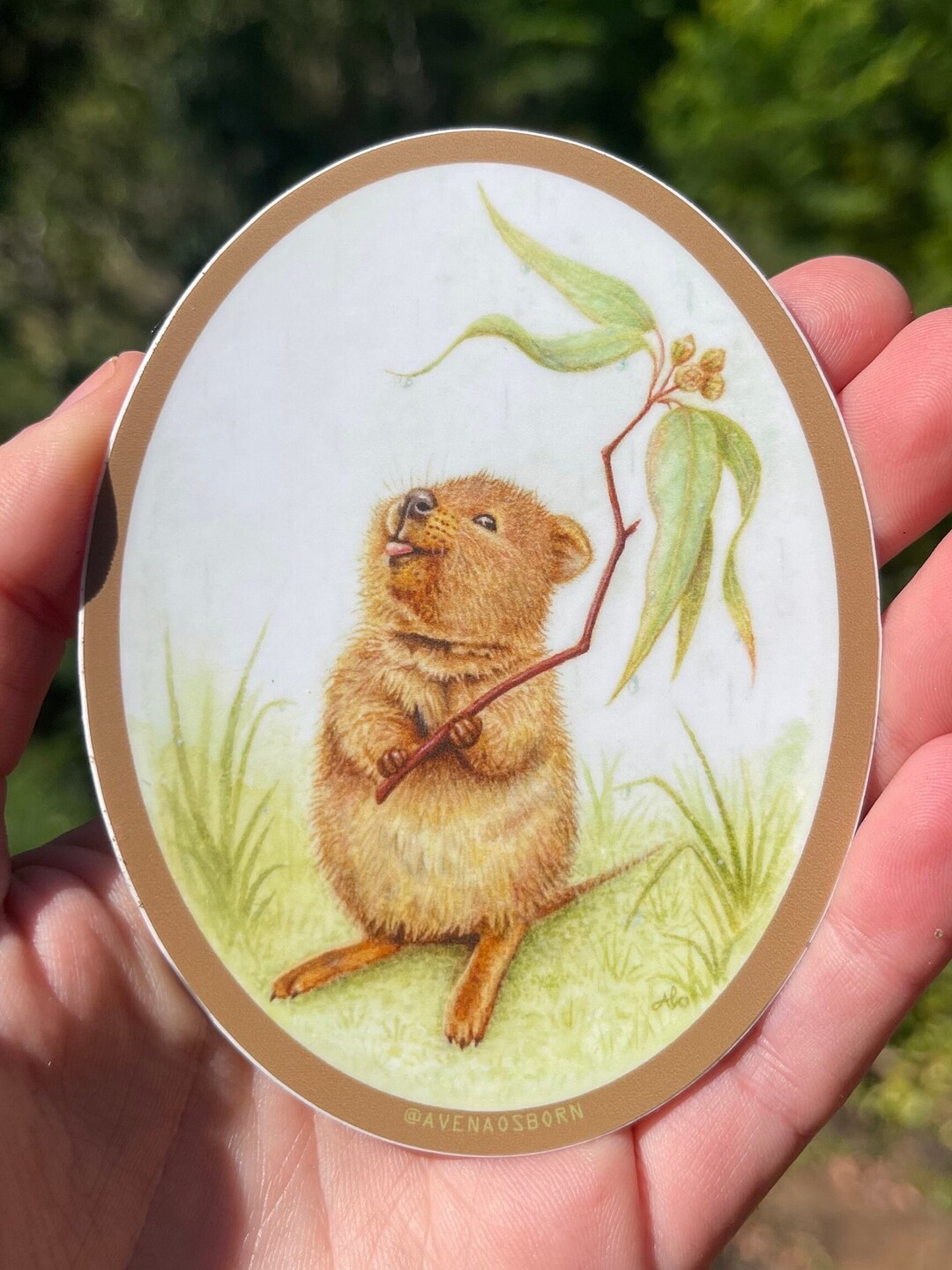 Quokka Watercolour Painting - Cute Cottagecore/beatrix Potter ...