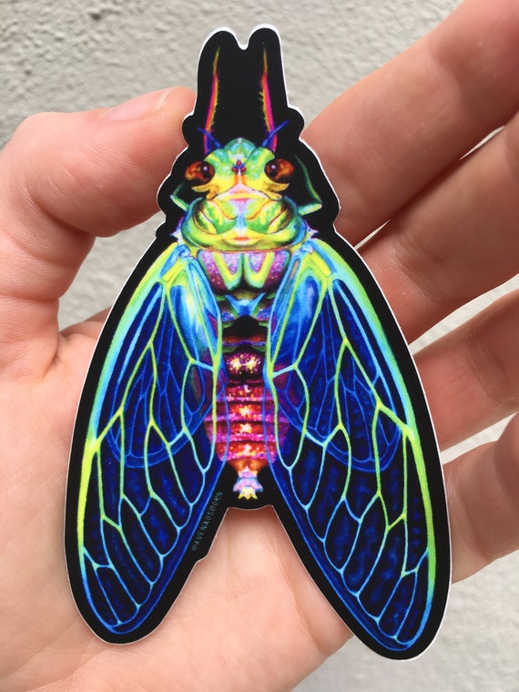 Cicada Vibrant Watercolour Psychedelic Trippy Vinyl | Etsy