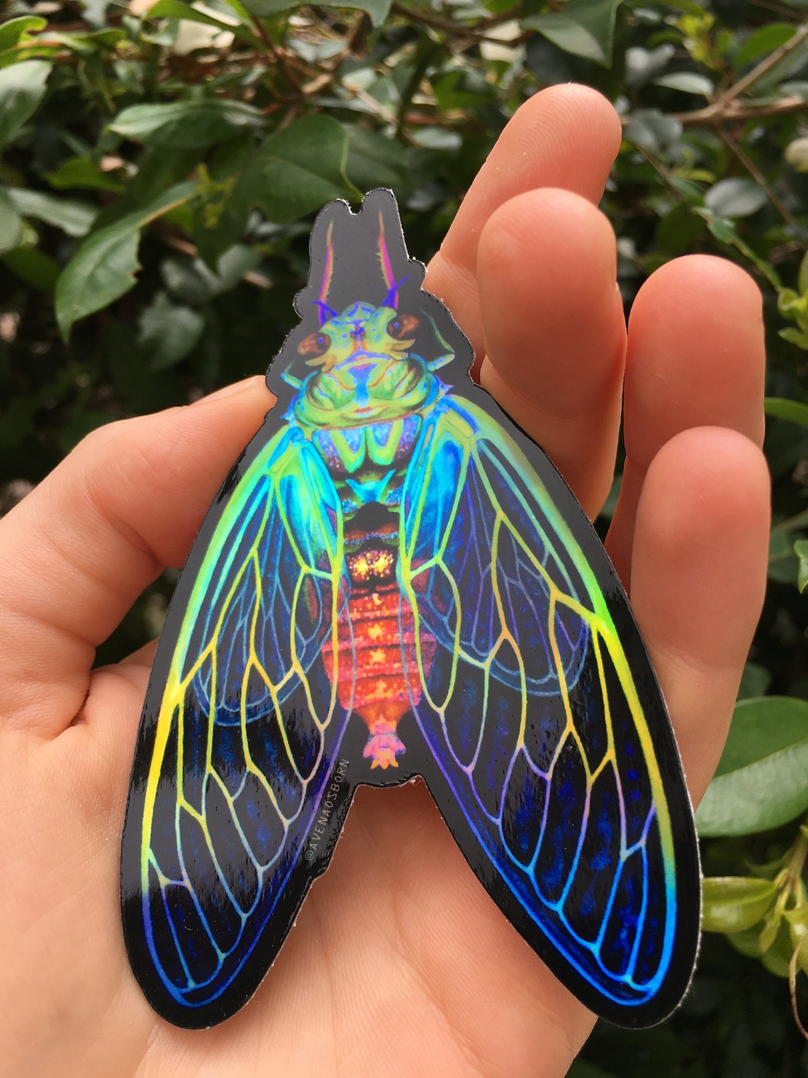 Holographic Cicada Vibrant Watercolour Psychedelic Trippy | Etsy