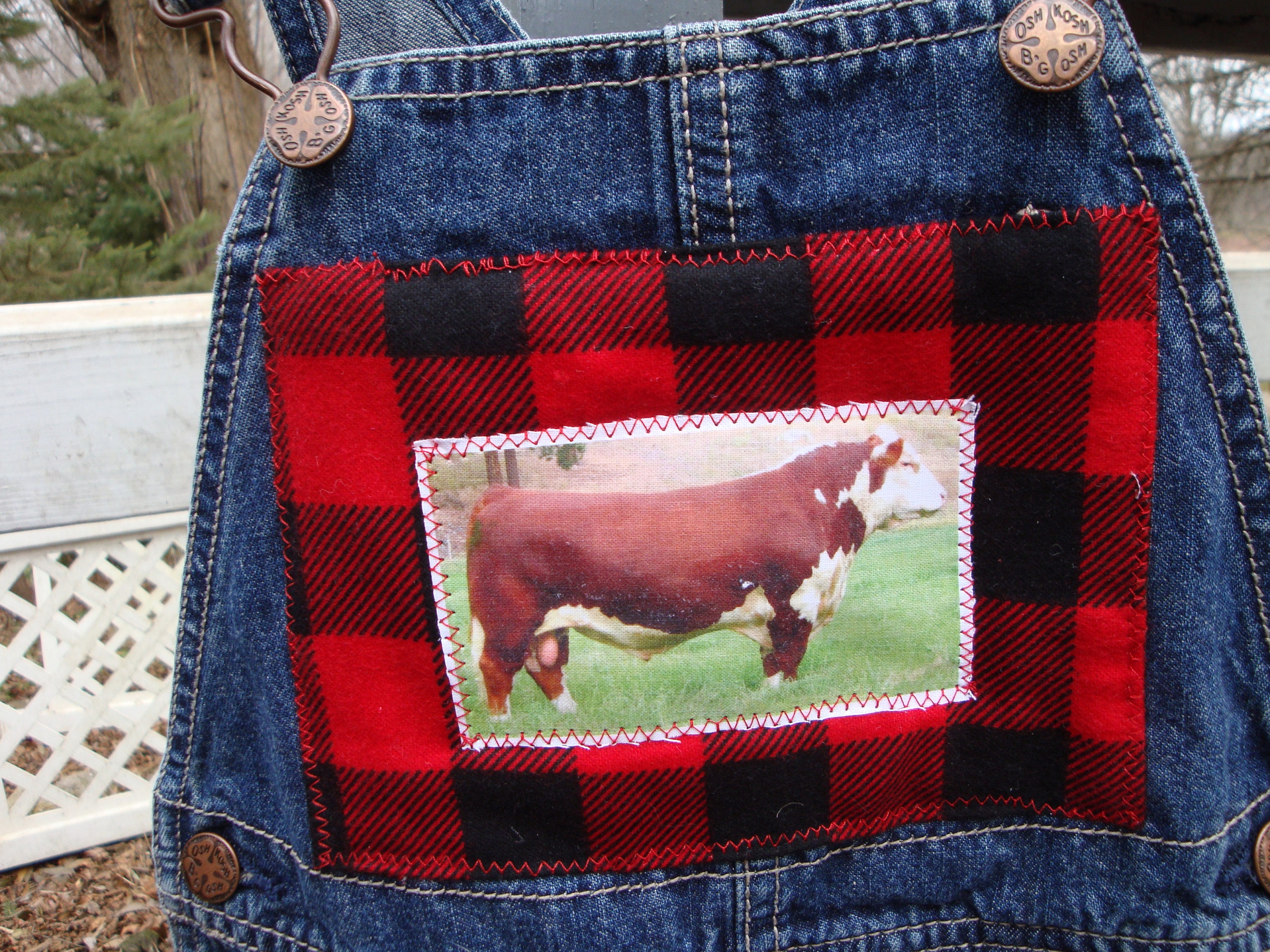 3T Oshkosh Overalls With Cows - Etsy