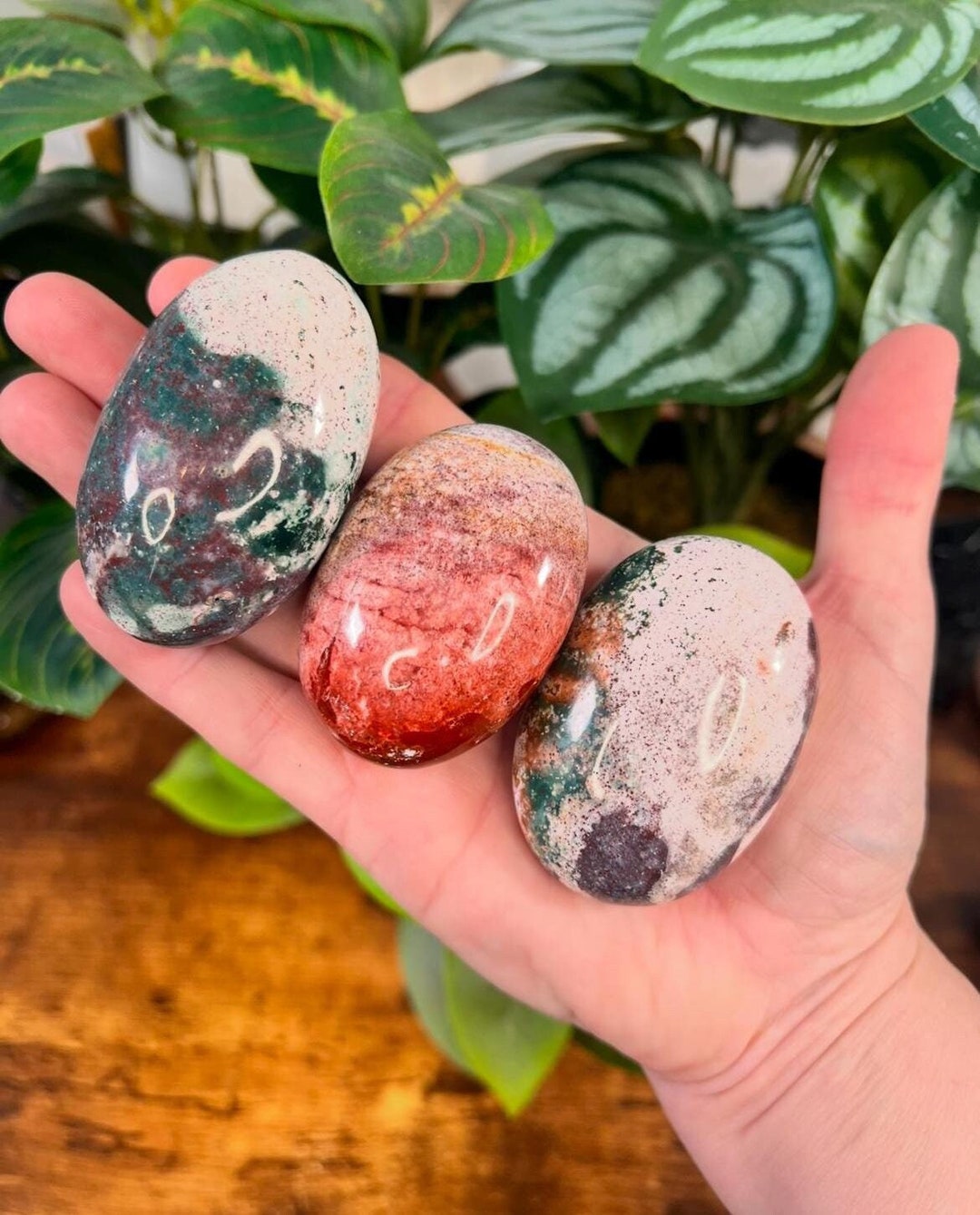 Rare Unicorn Jasper, Jasper, Unicorn Jasper Palm, Jasper Palm, Colorful ...