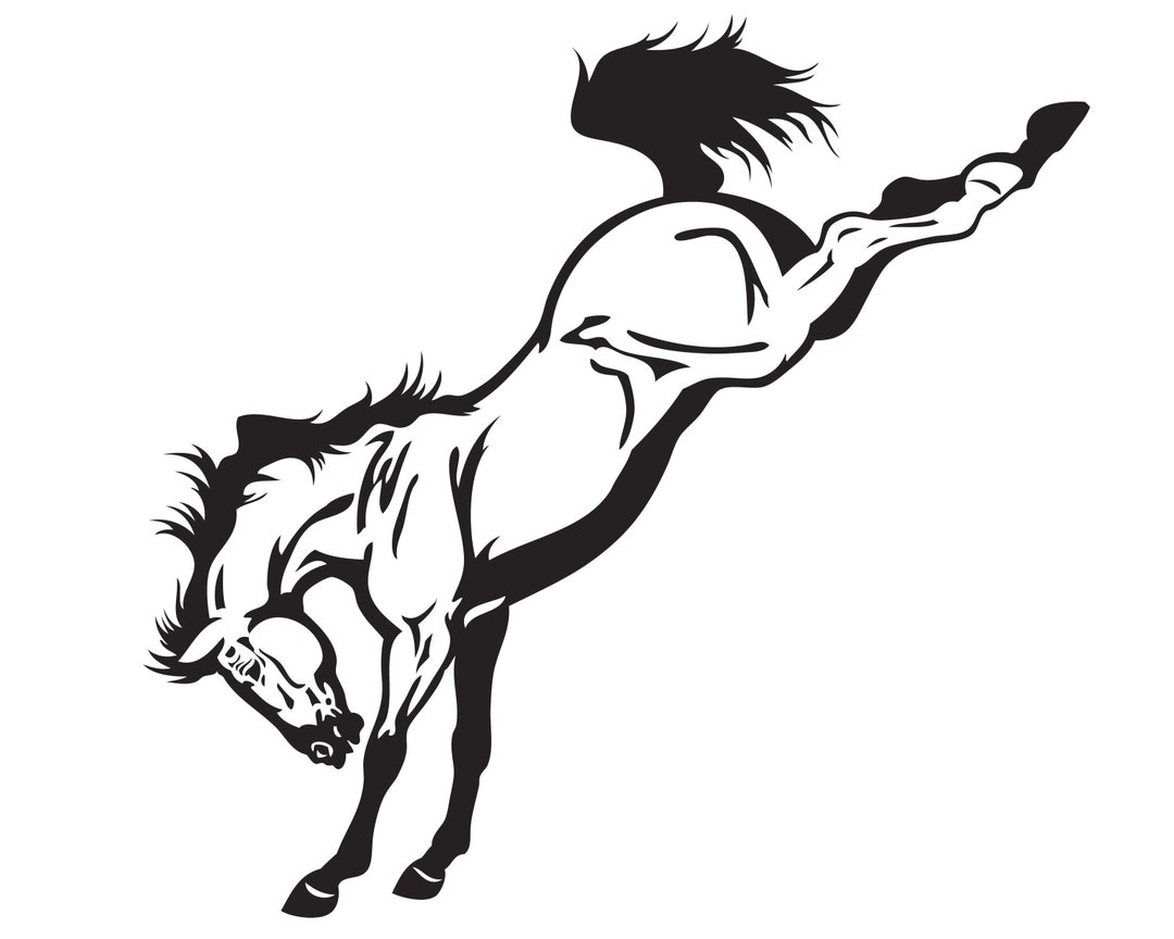 Bucking Horse Stallion Equestrian Racing Racehorse Jockey Thoroughbred ...