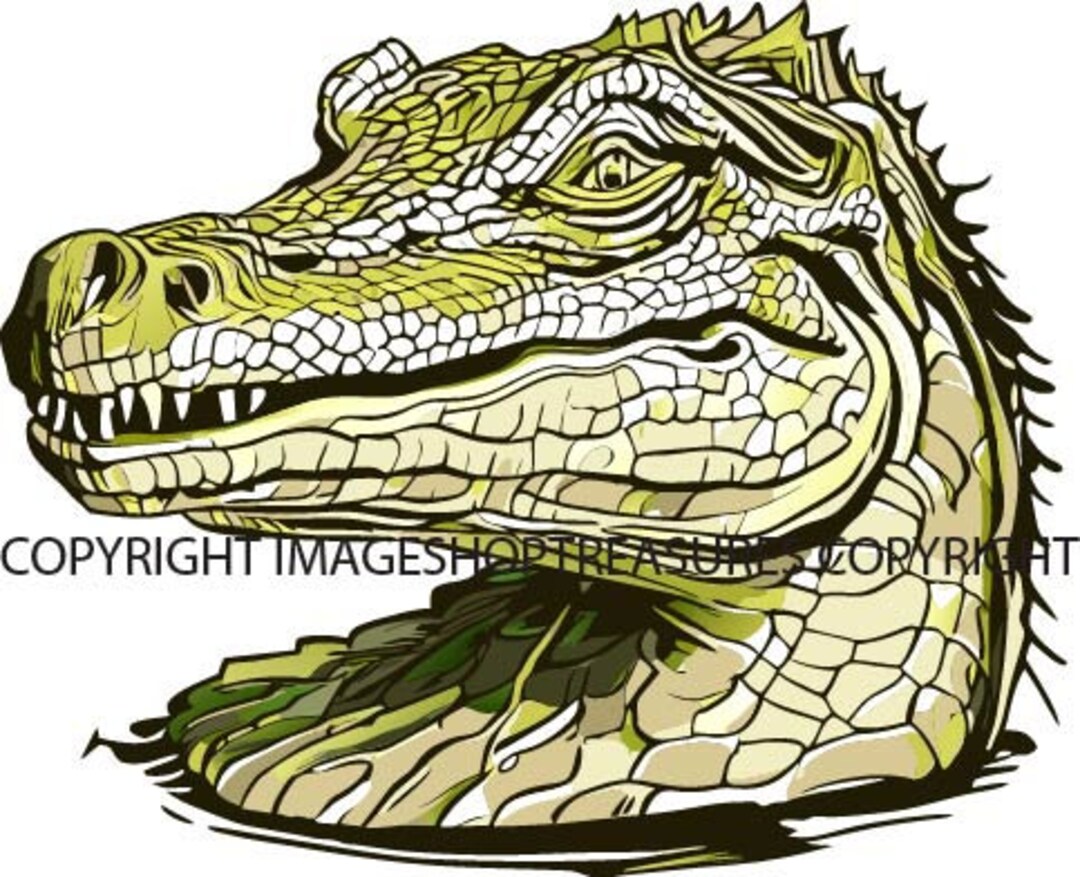 Alligator Crocodile Gator Zoo Wildlife Animal Animal School Mascot ...