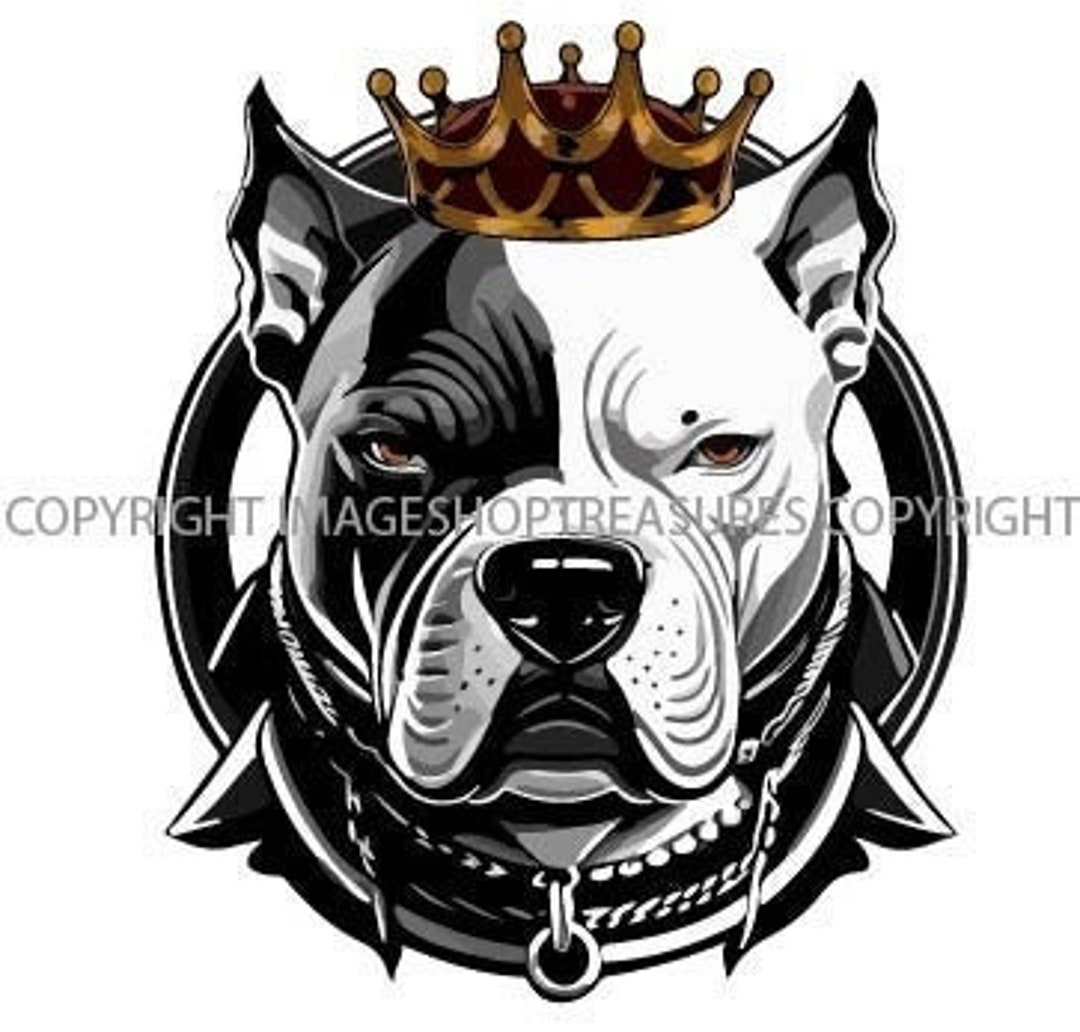 Vector American Pit Bull Breed Angry Black White Grey Crown Pedigree ...