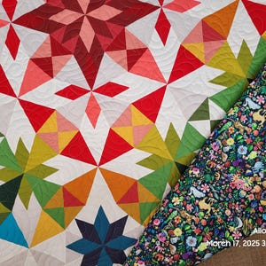 Handmade Quilt Alaska Rainbow Quilt Edyta Sitar Century Solid Andover ...