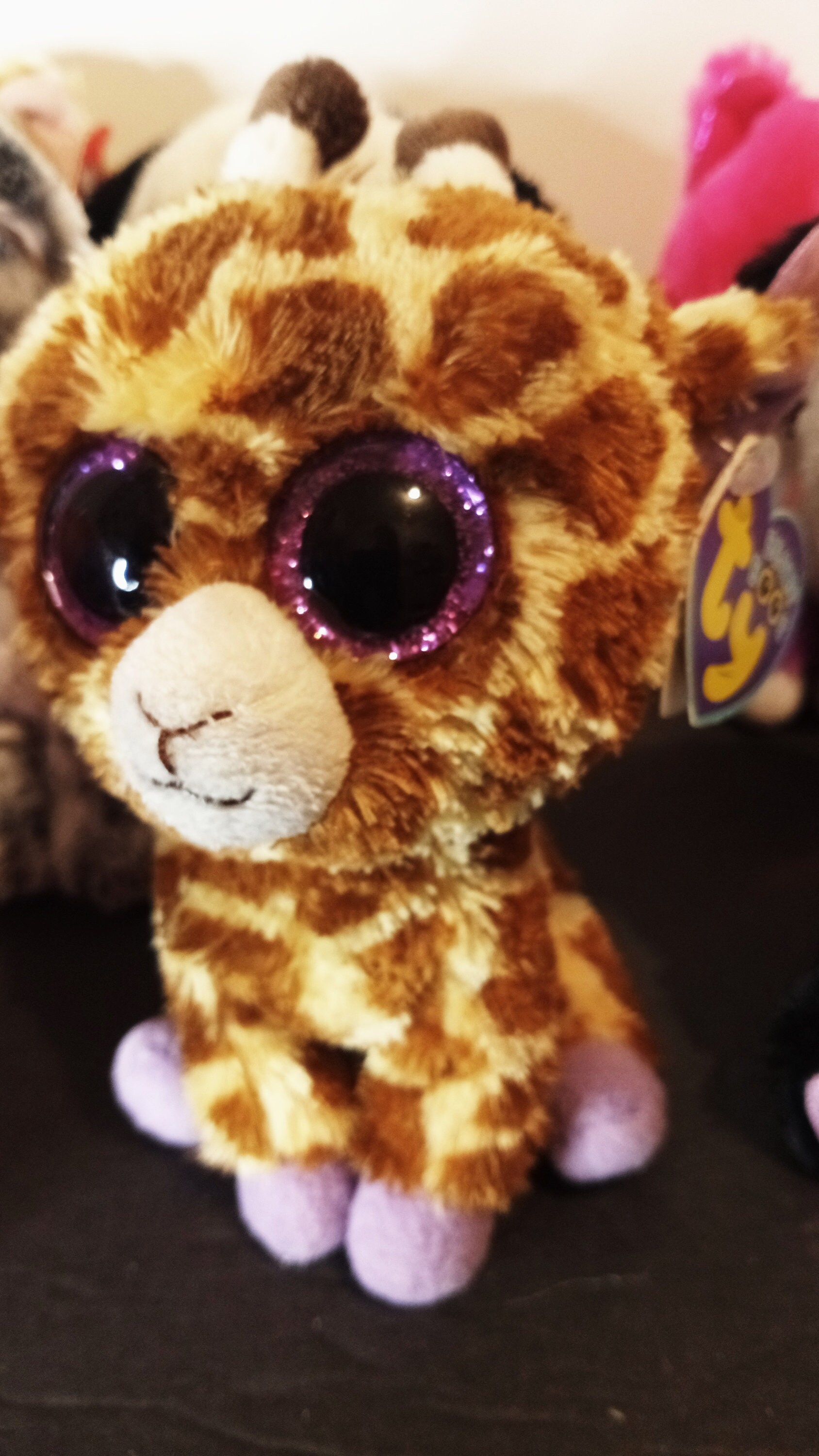Claire's Ty Beanie Boos Special Edition - Etsy