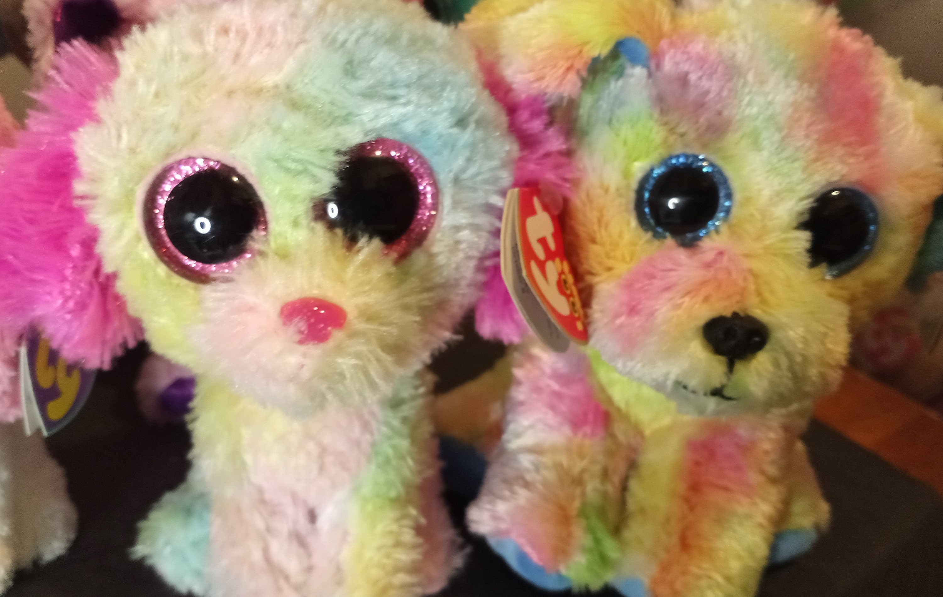 Claire's Ty Beanie Boos Special Edition - Etsy