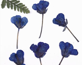 Navy Blue Flowers | Etsy