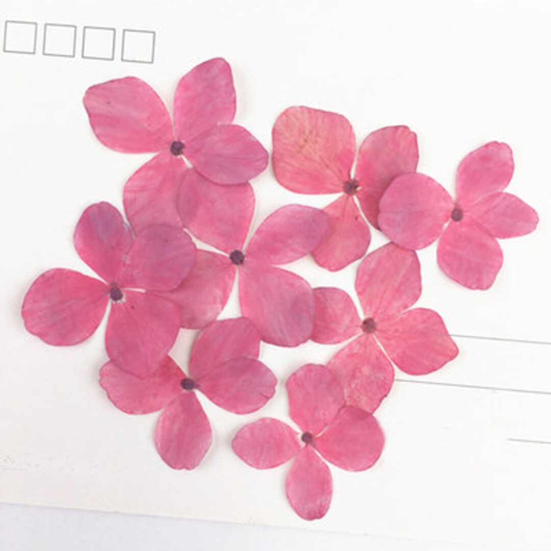 Pink Pressed Flowers: Resin Art Supplies, Paper Crafts (10 PC ...