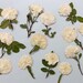 Pressed Flowers,rose White Pressed Flowers 6 Pcs/pack,pressed Flower ...