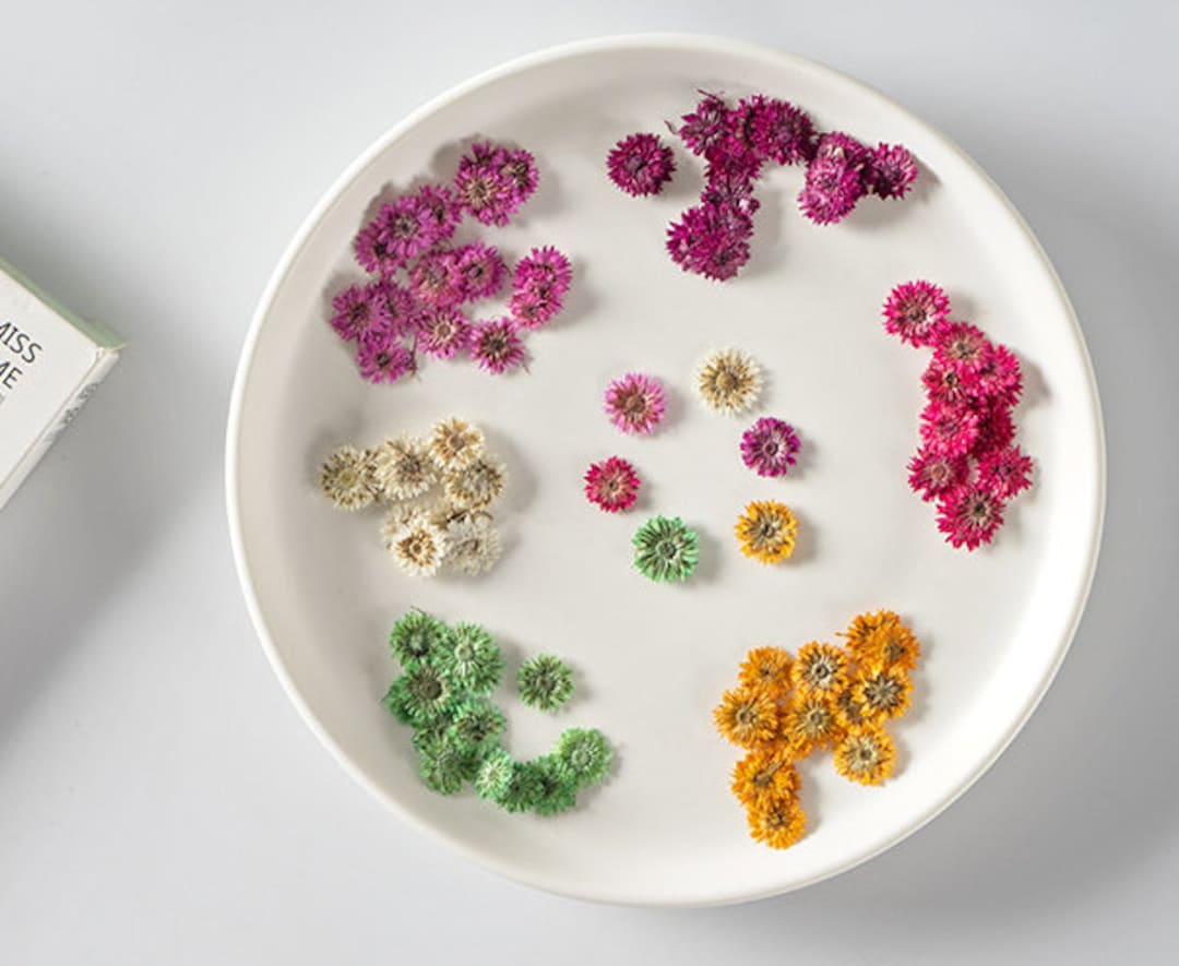 Small Chrysanthemum Pressed Flowers: Nail Flower Resin Crafts ...