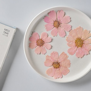 Pressed Flower,a Pack of 6 Pcs,pink Pressed Flower,dried Flower,pink ...