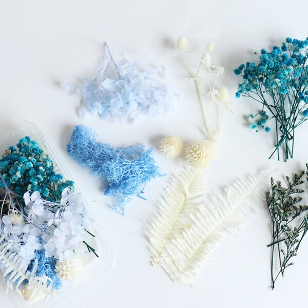 Blue Dried Flowers - Etsy