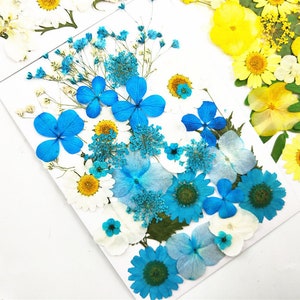 A Pack of 28-35 PCS Dried Flat Flower Packs, Pressed Flowers Lot, Mixed ...