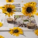 Pressed Flower,sunflower Pressed Flower,set of 2 Pcs,pressed Yellow ...