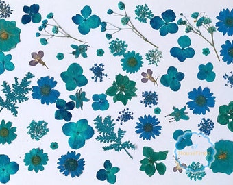 Pressed Flowersred Pressed Flowera Pack of 100 PCS Dried - Etsy