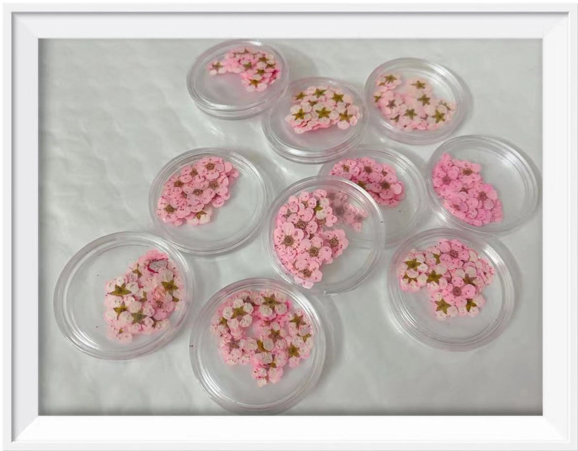 Pressed Flowers,pink Pressed Flowers,20 Pcs/pack,pink Flower Dried ...