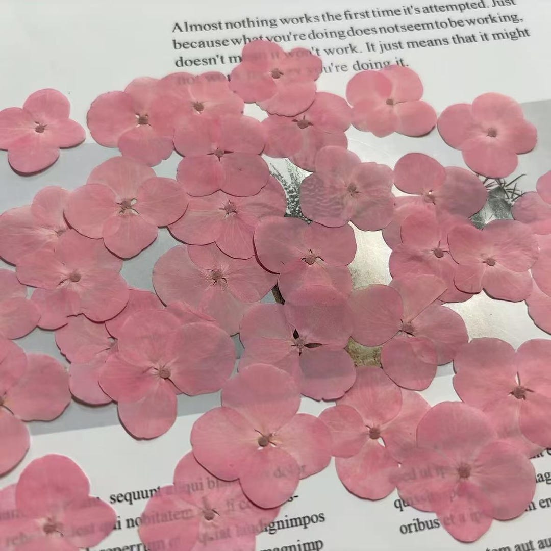 Pressed Flowers,light Pink Pressed Flowers,12 PCS/PACK, Pink Flower ...
