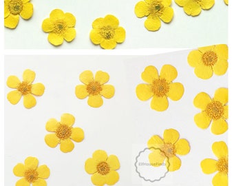 Pressed Flowersyellow Pressed Flowers 100 Pcsdried Pressed - Etsy
