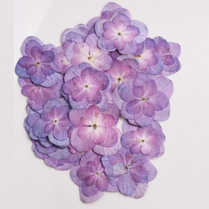 Pressed Purple Hydrangea Flowers: Dried Flat Flower Pack (12 PC ...