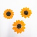 Pressed Flowers Sunflower,5 Pcs/pack,pressed Flowers Large Orange ...