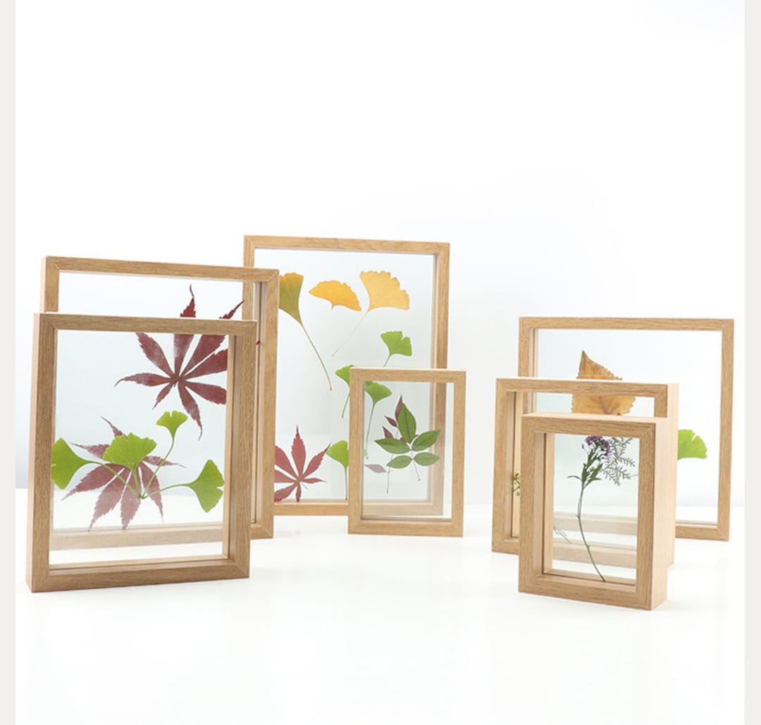 Herbarium Frame for Pressed Flower Art, Double Glass Specimen Frame ...