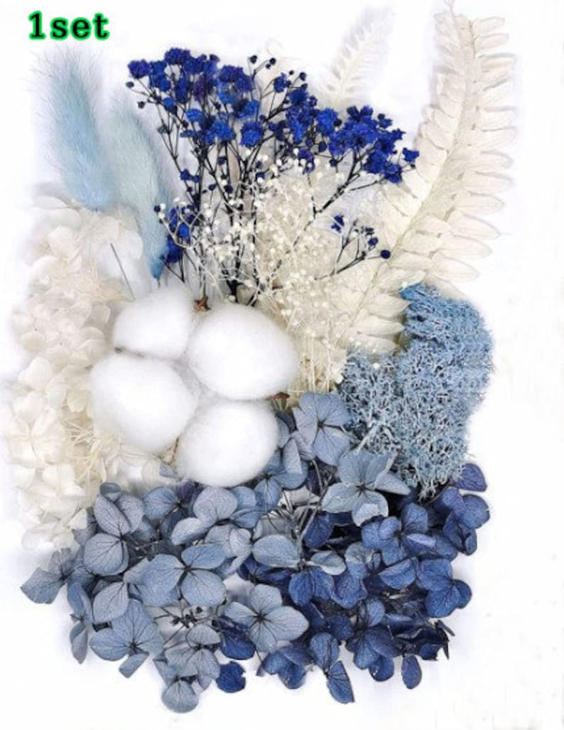 Dried Flowers,bulk Dried Flower,1 Set Dark Blue White Dried Flower,mix ...