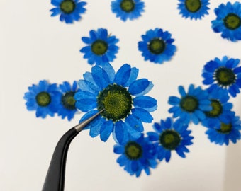 Pressed Flowersset of 8 PCS Pressed Flowers Artpurple Dried - Etsy