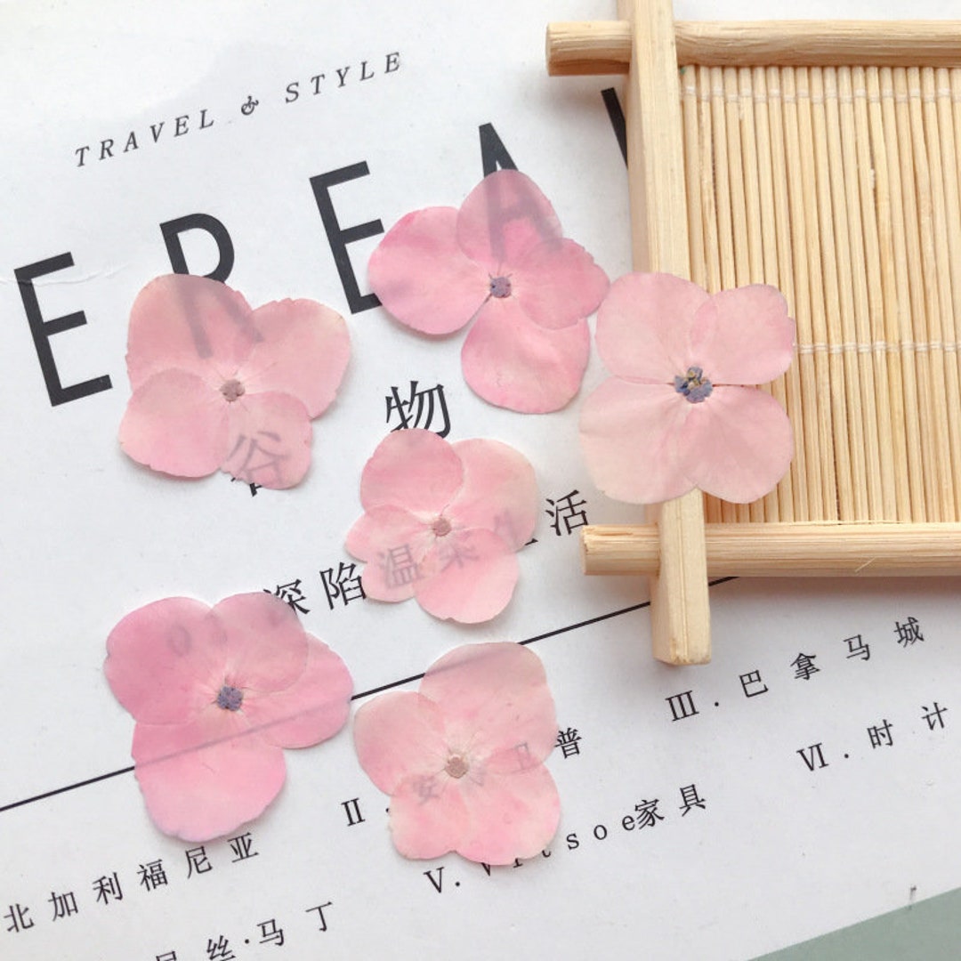 Pressed Flowers,light Pink Pressed Flowers,12 PCS/PACK, Pink Flower ...