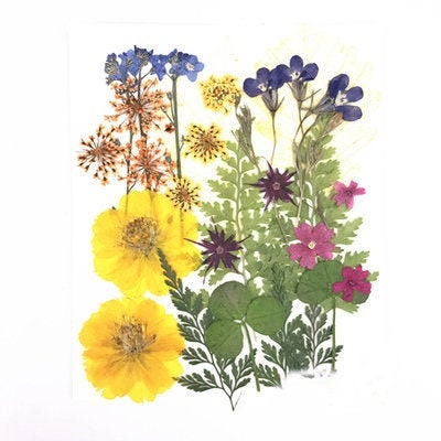 Pressed Flowersa Pack of 20-25 PCS Dried Flowersdried - Etsy
