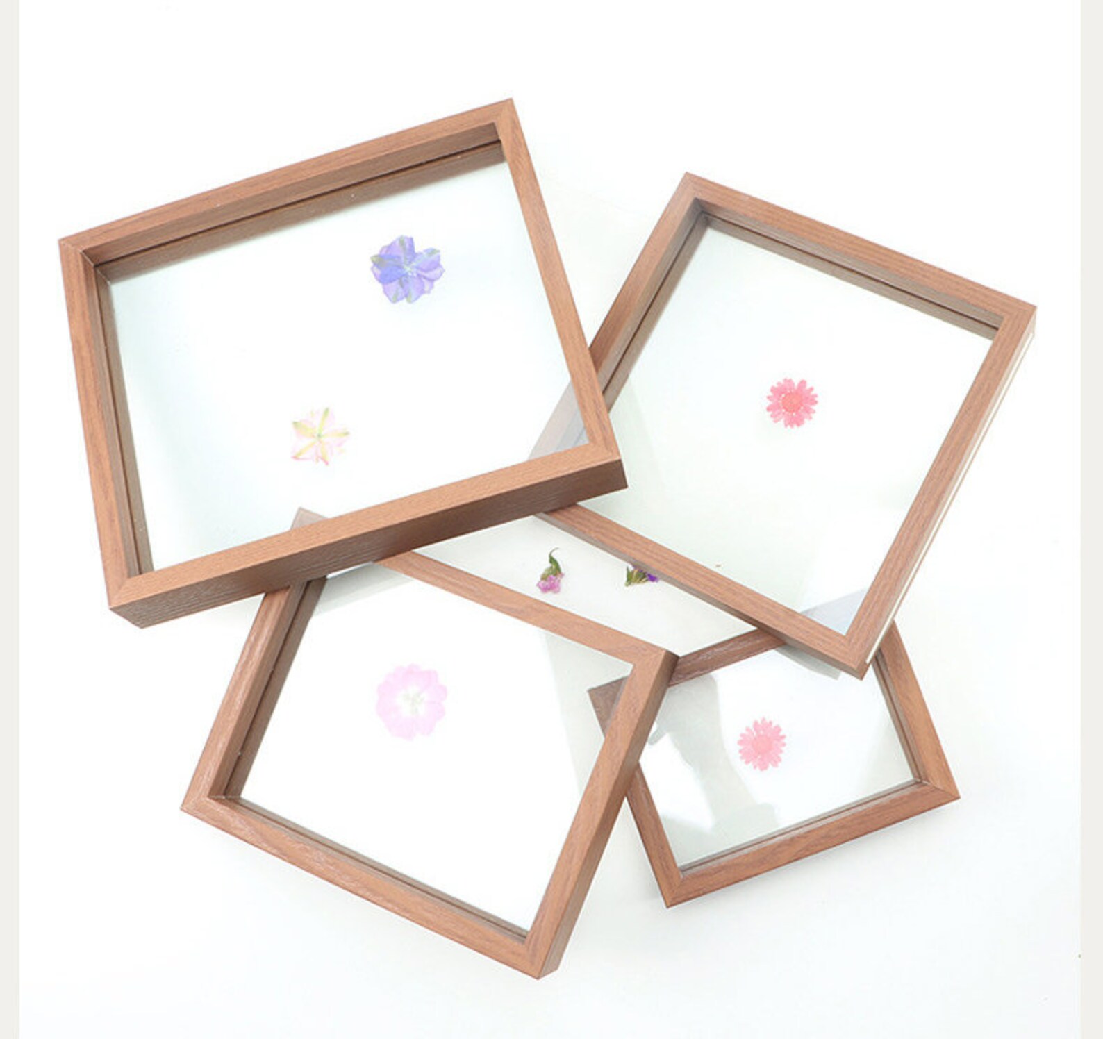 Herbarium Frame for Pressed Flower Art Double Glass Specimen | Etsy