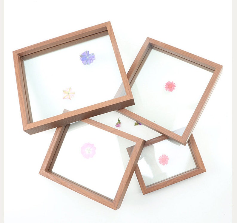 Herbarium Frame for Pressed Flower Art Double Glass Specimen - Etsy