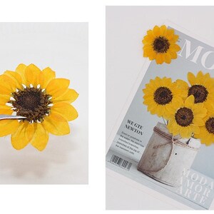 Pressed Flowers Sunflower,5 Pcs/pack,pressed Flowers Large Orange ...