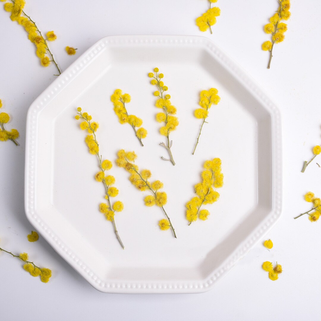 Pressed Flower,yellow Pressed Flower,8 Pcs/pack,pressed Yellow Dried ...