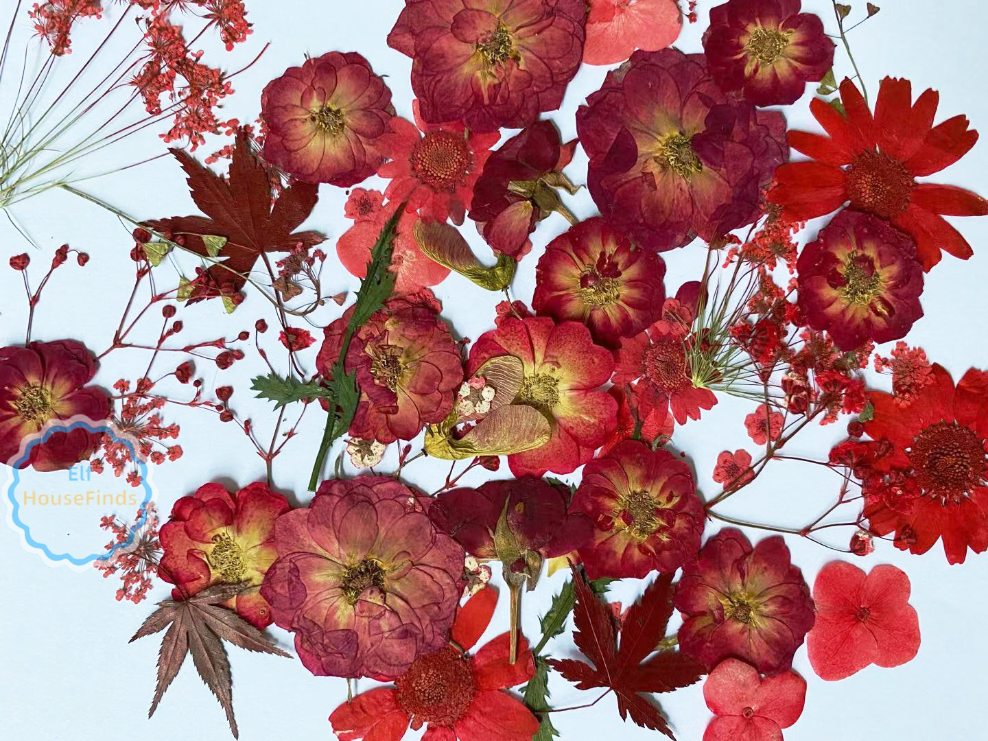 Pressed Flowersred Pressed Flowera Pack of 100 PCS Dried | Etsy