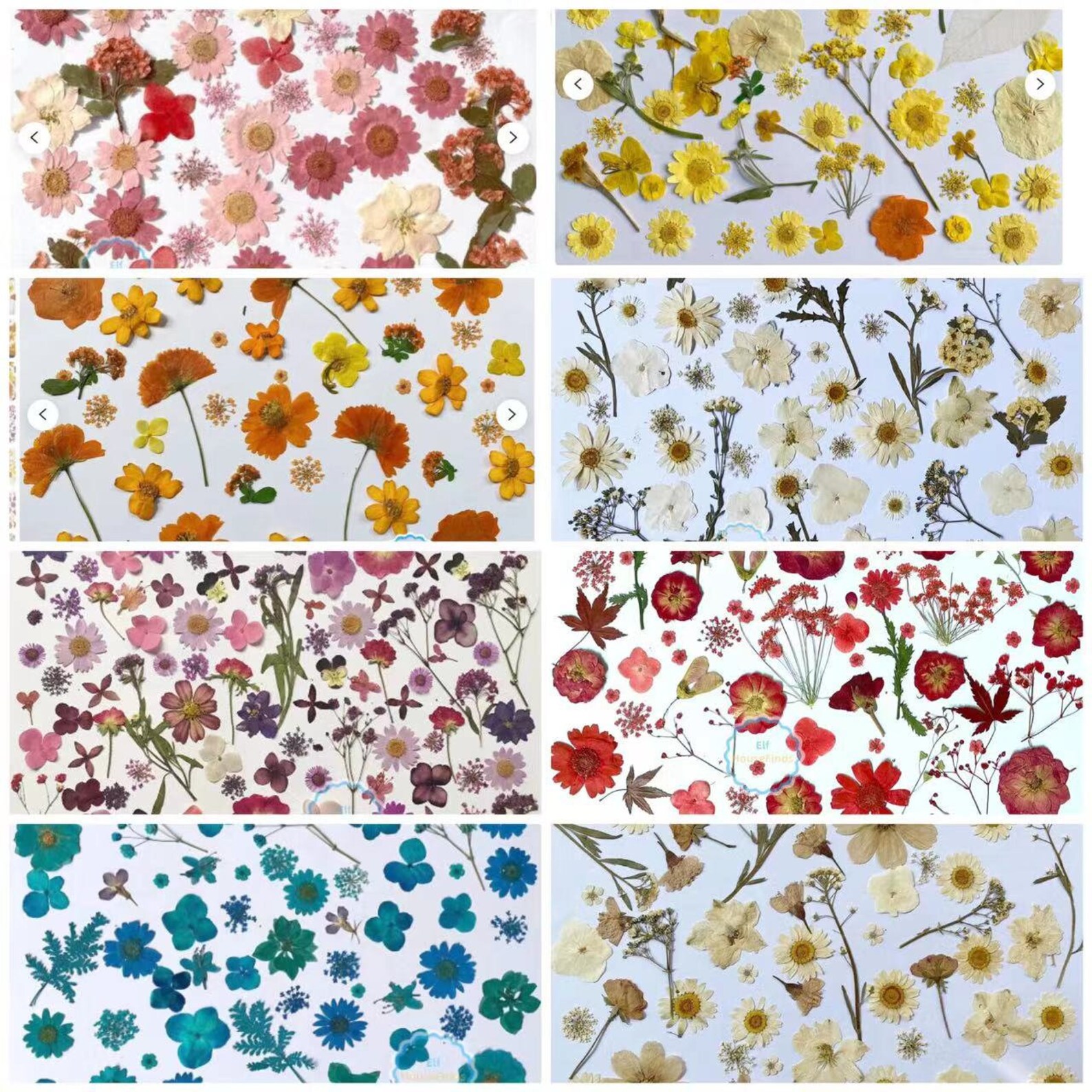 Pressed Flowersa Pack of 20 PCS Dried Pressed Flowerspurple - Etsy