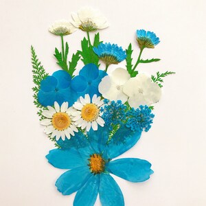 Dried Flat Flower Packsa Pack of 12-15 PCS Pressed Flowers - Etsy