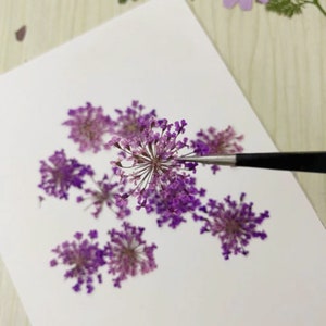 Pressed Flowers,purple Pressed Flowers,a Pack of 10 Pc,purple Flower ...