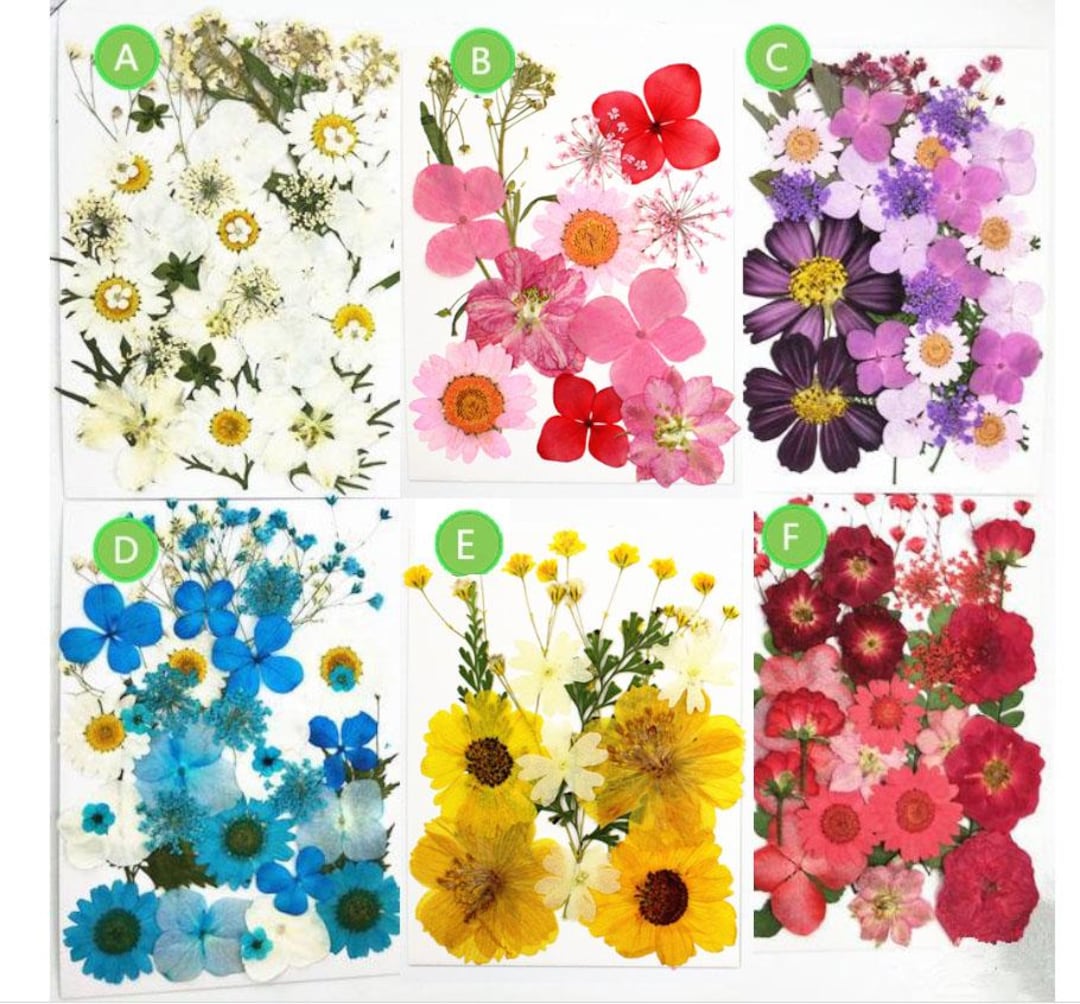 Pressed Flower Set: Mixed Flat Flowers for Resin Art Crafts - Etsy