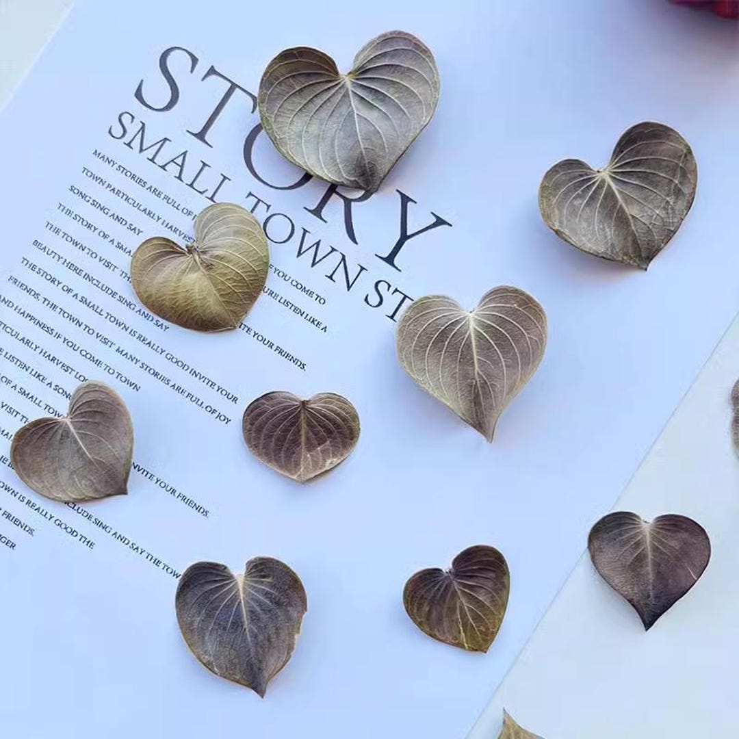 Pressed Cordate Leaves,dried Leaf,heart Shaped Leaves 12 Pcs/pack ...