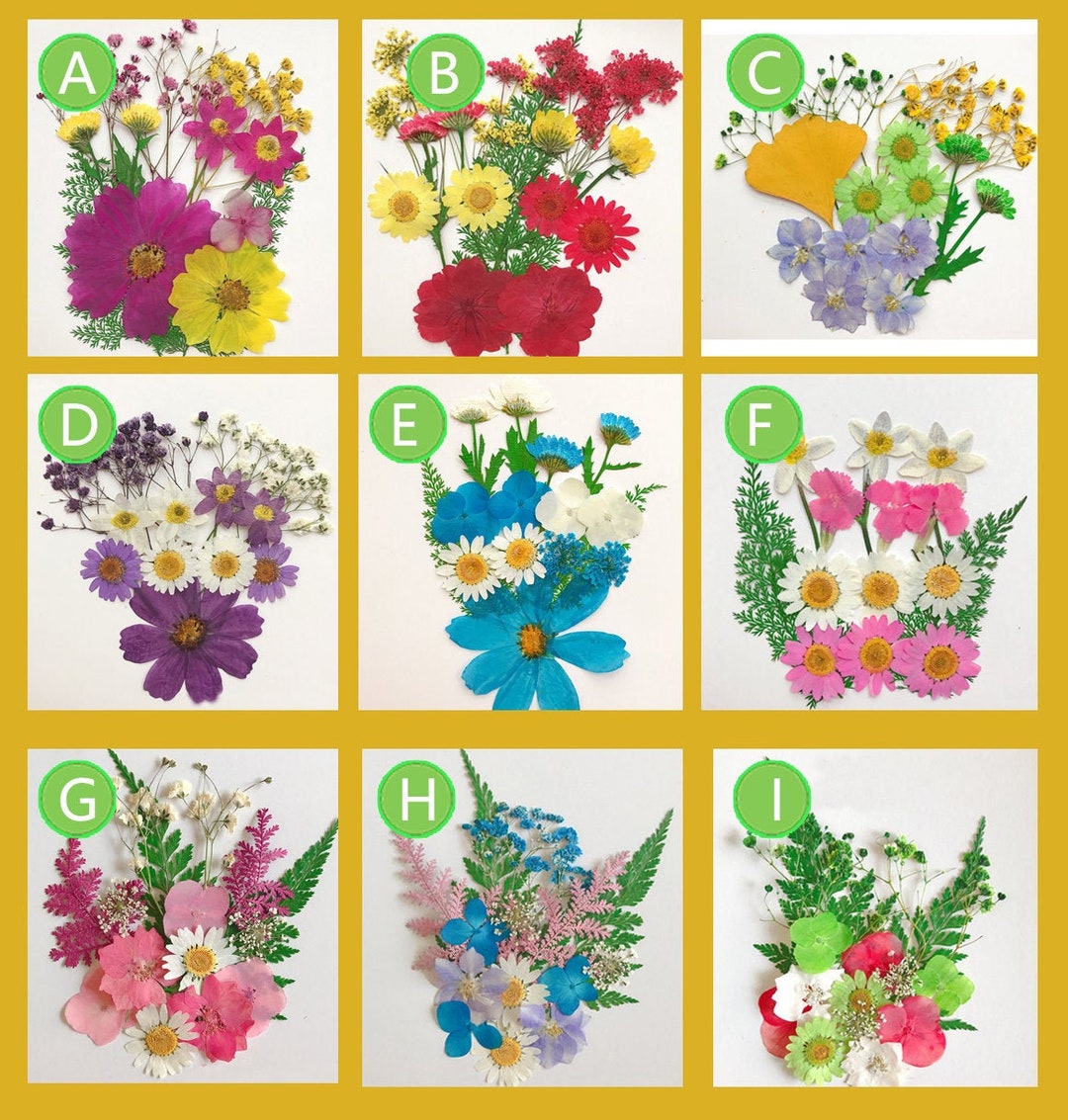 Dried Flat Flower Packsa Pack of 12-15 PCS Pressed Flowers - Etsy