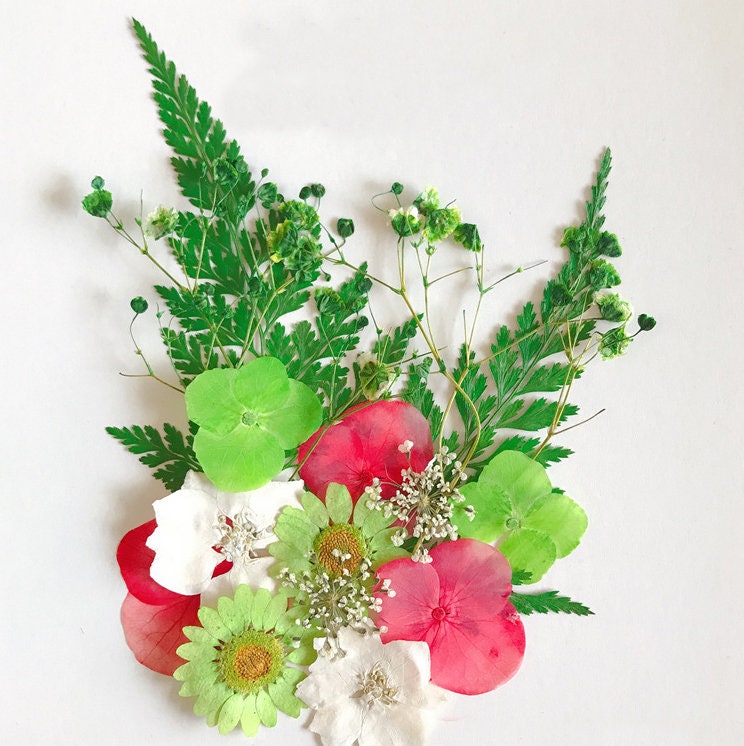 Dried flat flower packsA Pack of 12-15 PCS pressed flowers | Etsy