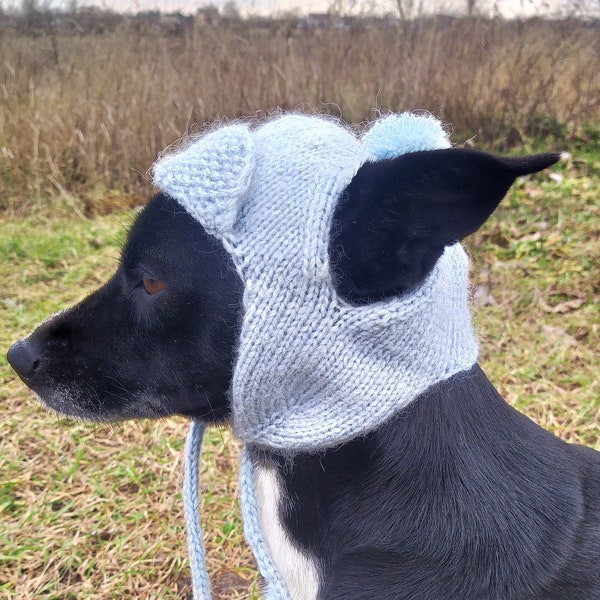 Knitted Dog Hat - Etsy